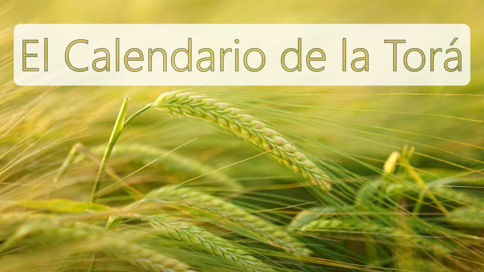 El Calendario de la Torá - Israel Nazareno